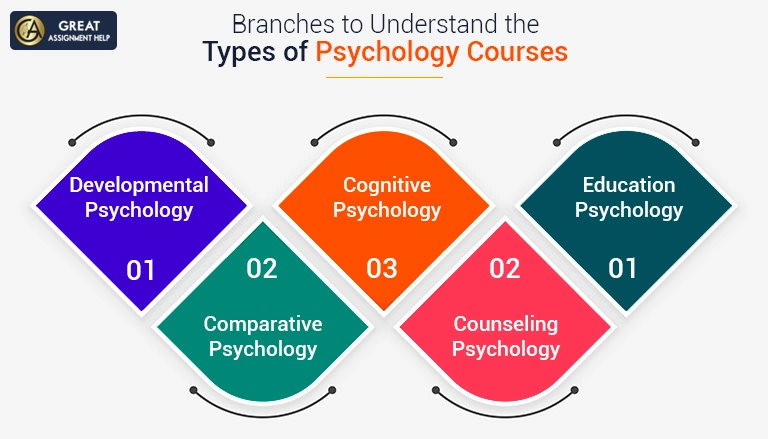Different Types Of Psychology Degrees