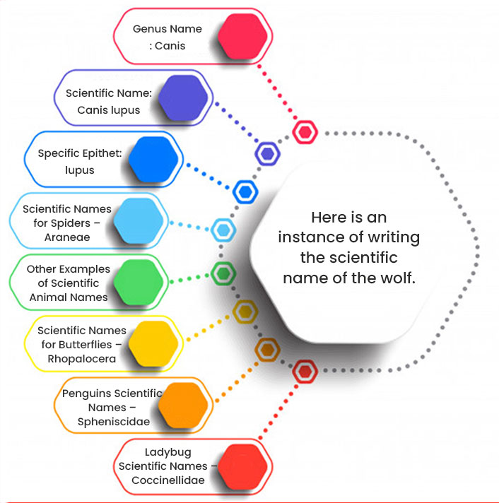 How To Write Scientific Names An Essential Guide To Getting A How To Write Scientific Names An Essential Guide To Getting A