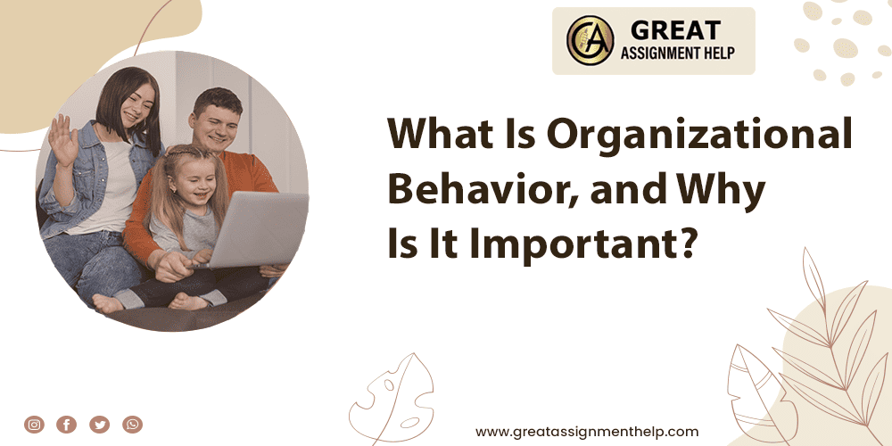 What Is Organizational Behavior, and Why Is It Important?